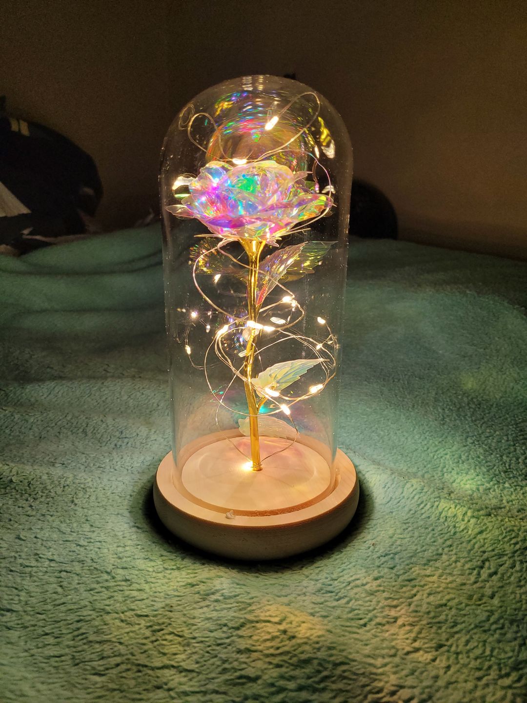 Galaxy Enchanted Rose – Enchanted Roses